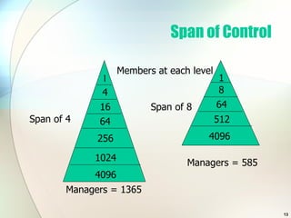 Organisational Structure And Hrm 171 | PPT