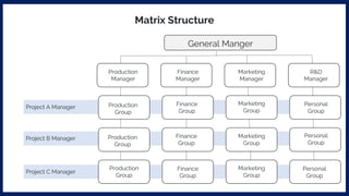 Organisational structure in MNCs | PDF