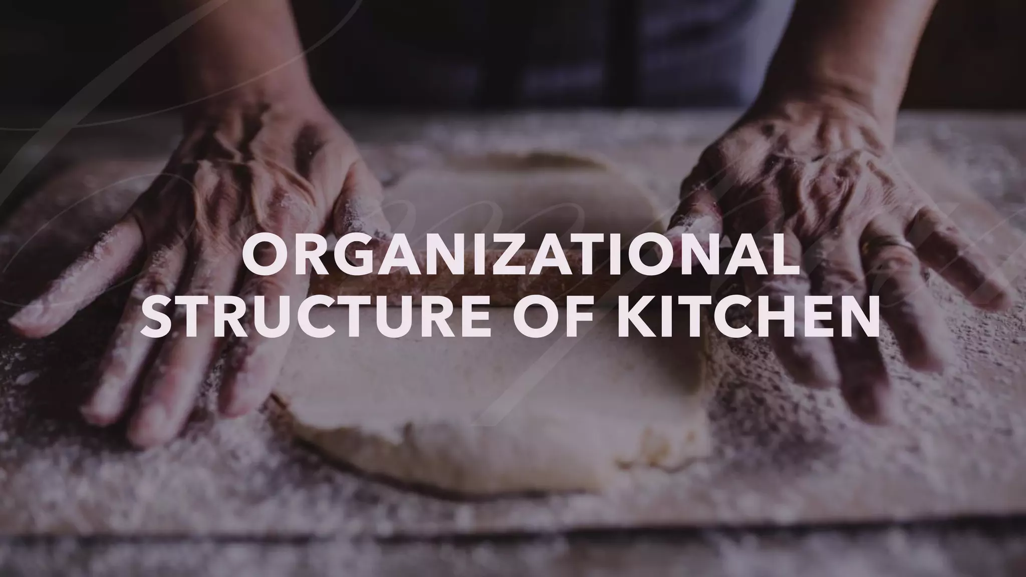 ORGANISATIONAL STRUCTURE OF KITCHEN.pdf