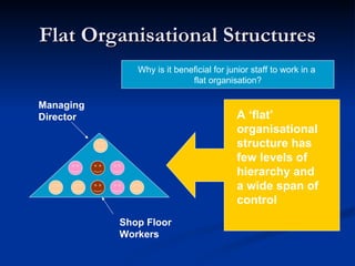 Organisational Structures | PPT