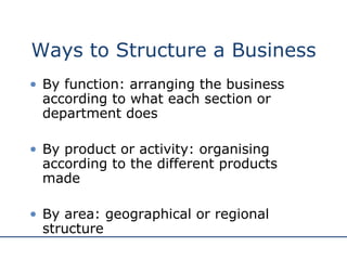 Organisational Structures | PPT | Large Business | Business