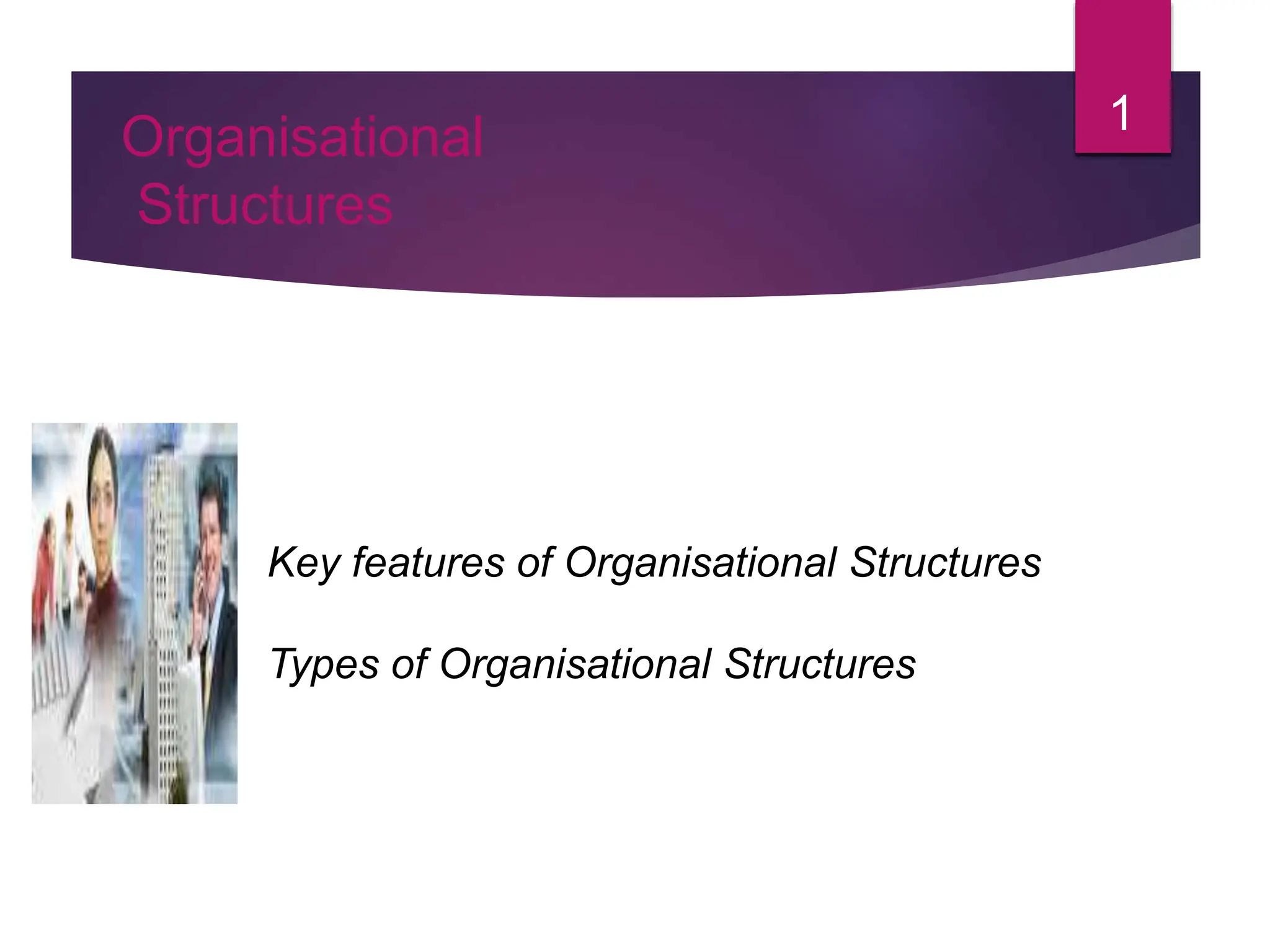 Organisational Structures.ppt