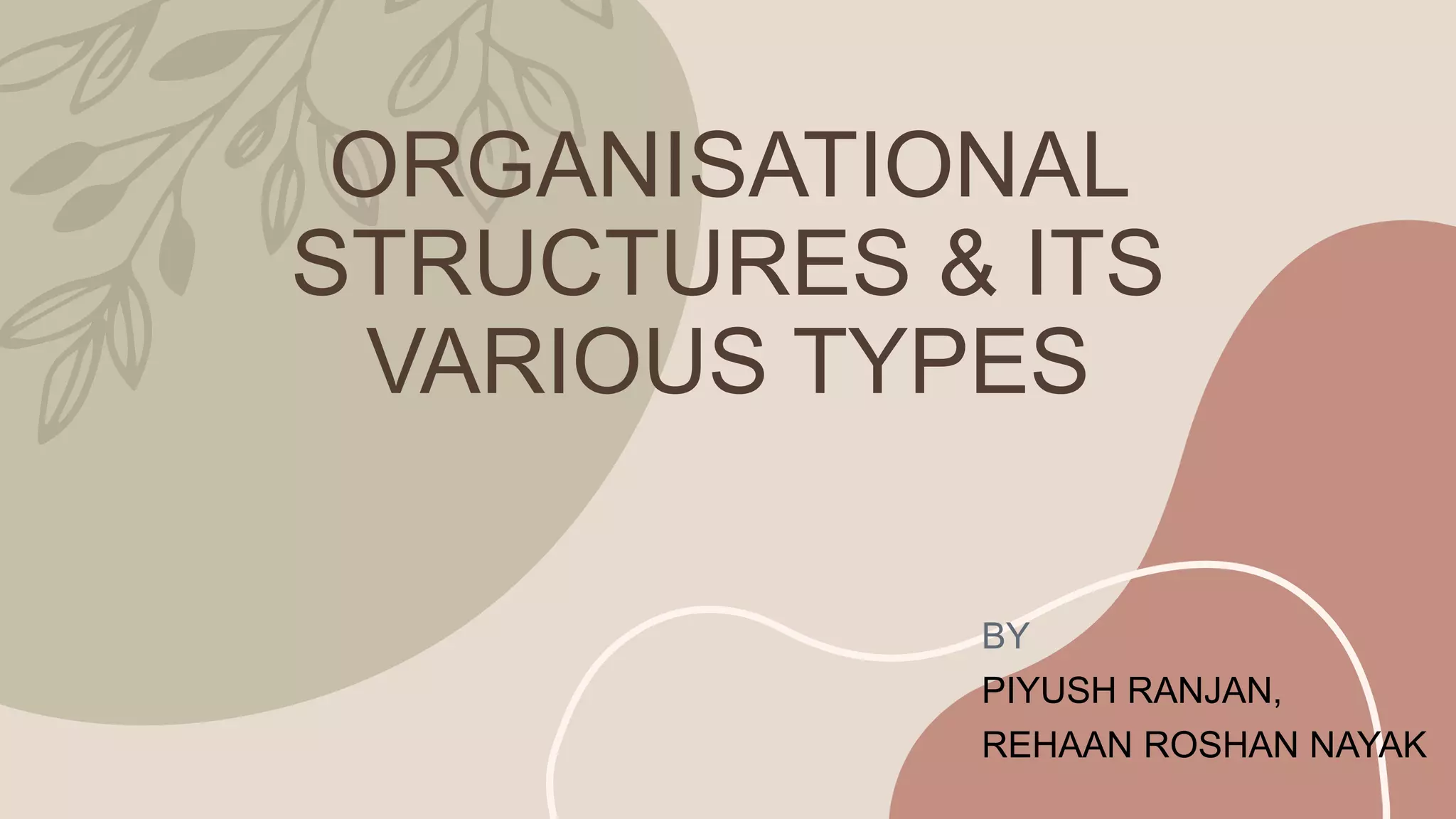 ORGANISATIONAL STRUCTURES & ITS VARIOUS TYPES.pptx
