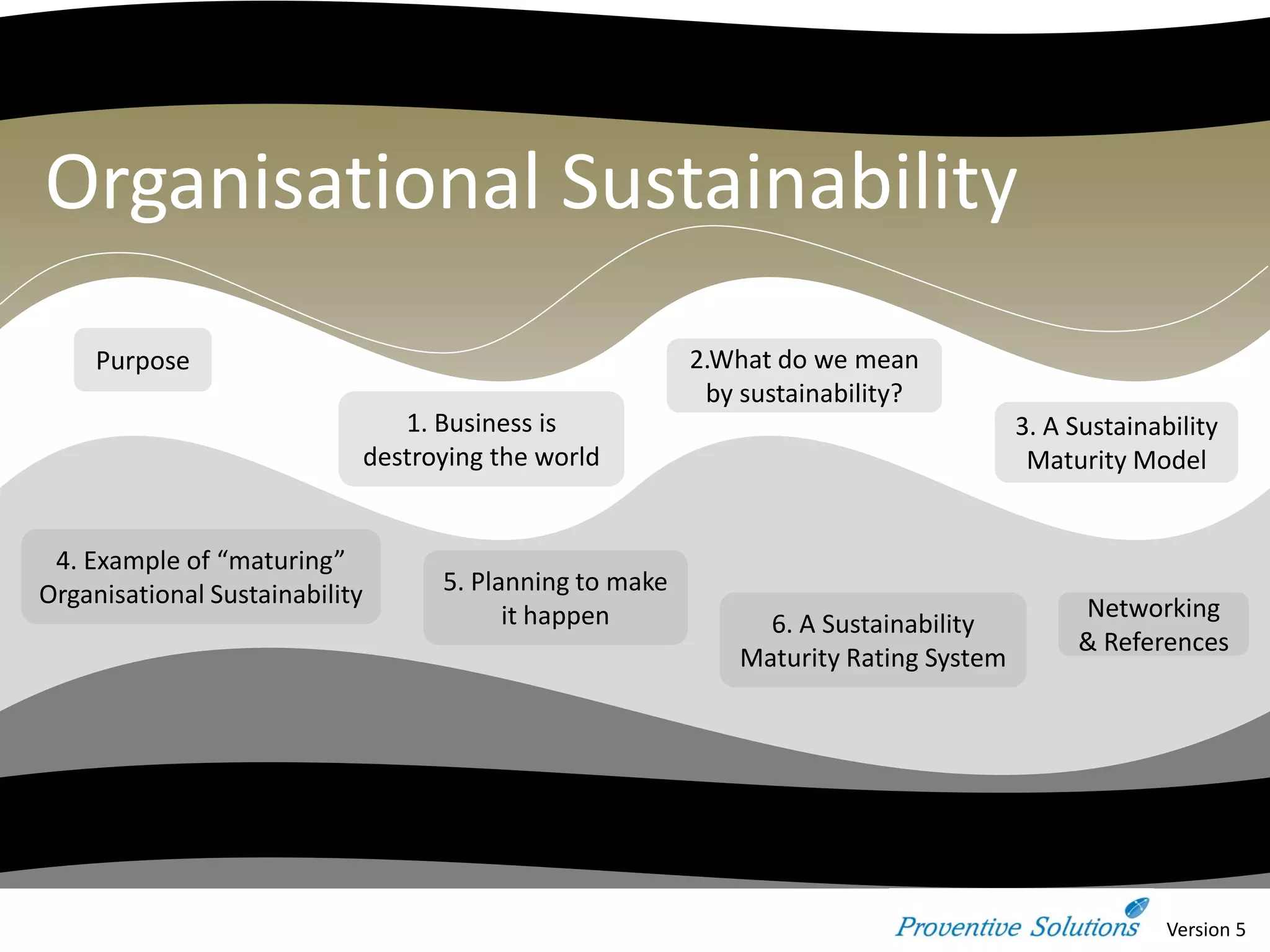 Organisational Sustainability | PDF