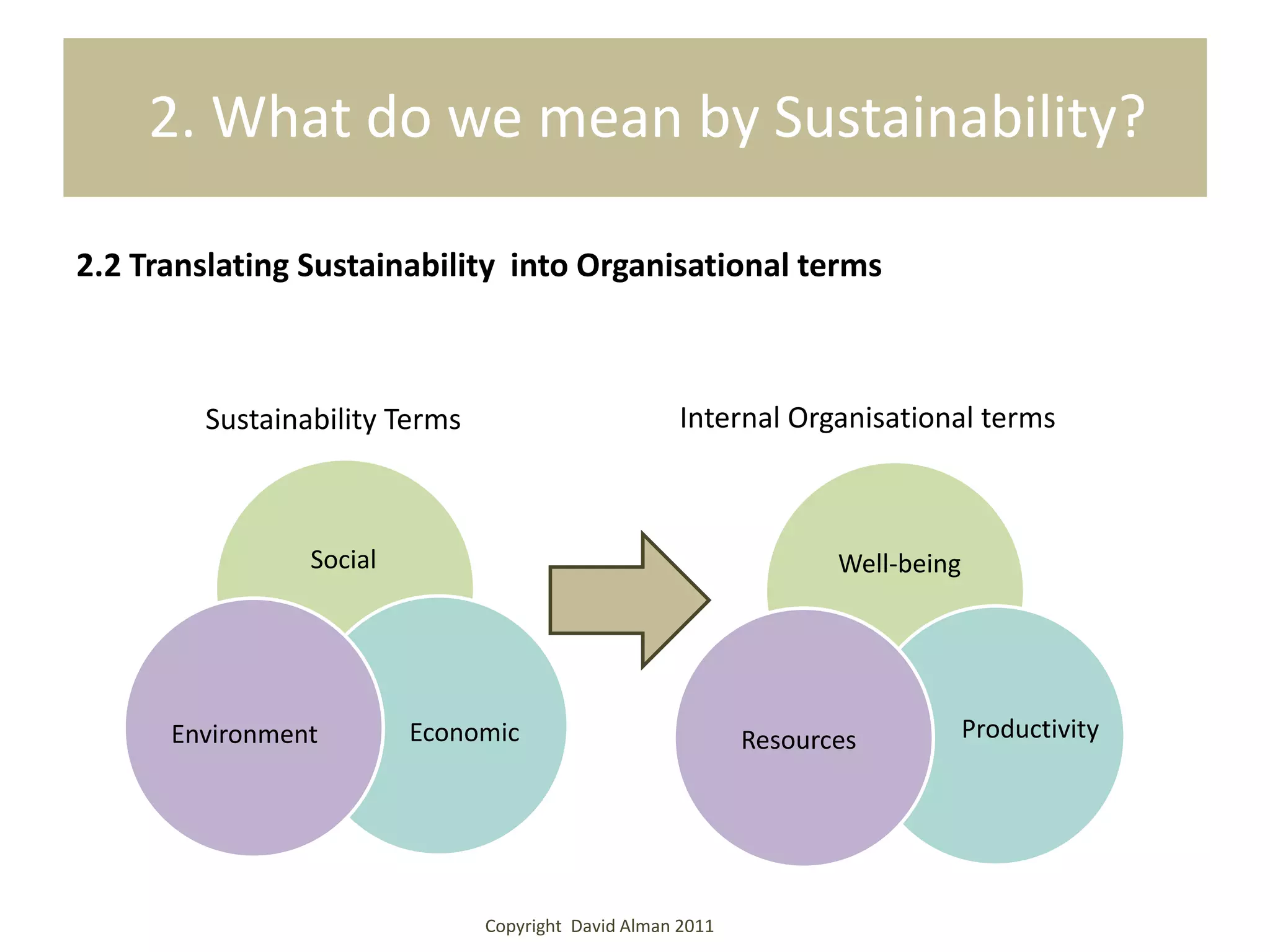 Organisational Sustainability | PDF