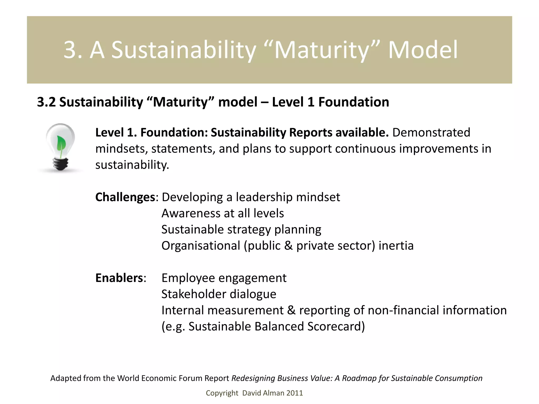 Organisational Sustainability | PDF