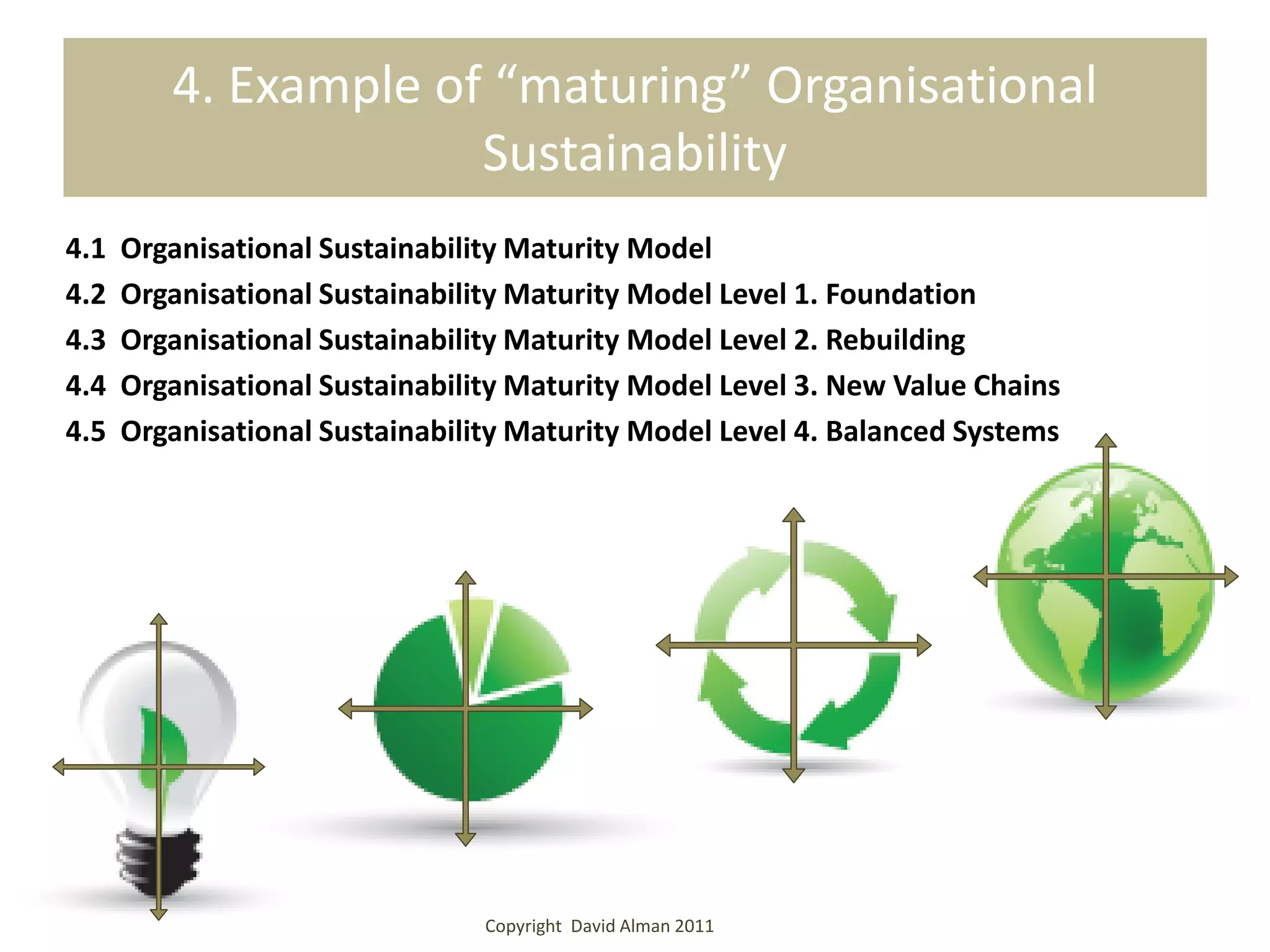 Organisational Sustainability | PDF