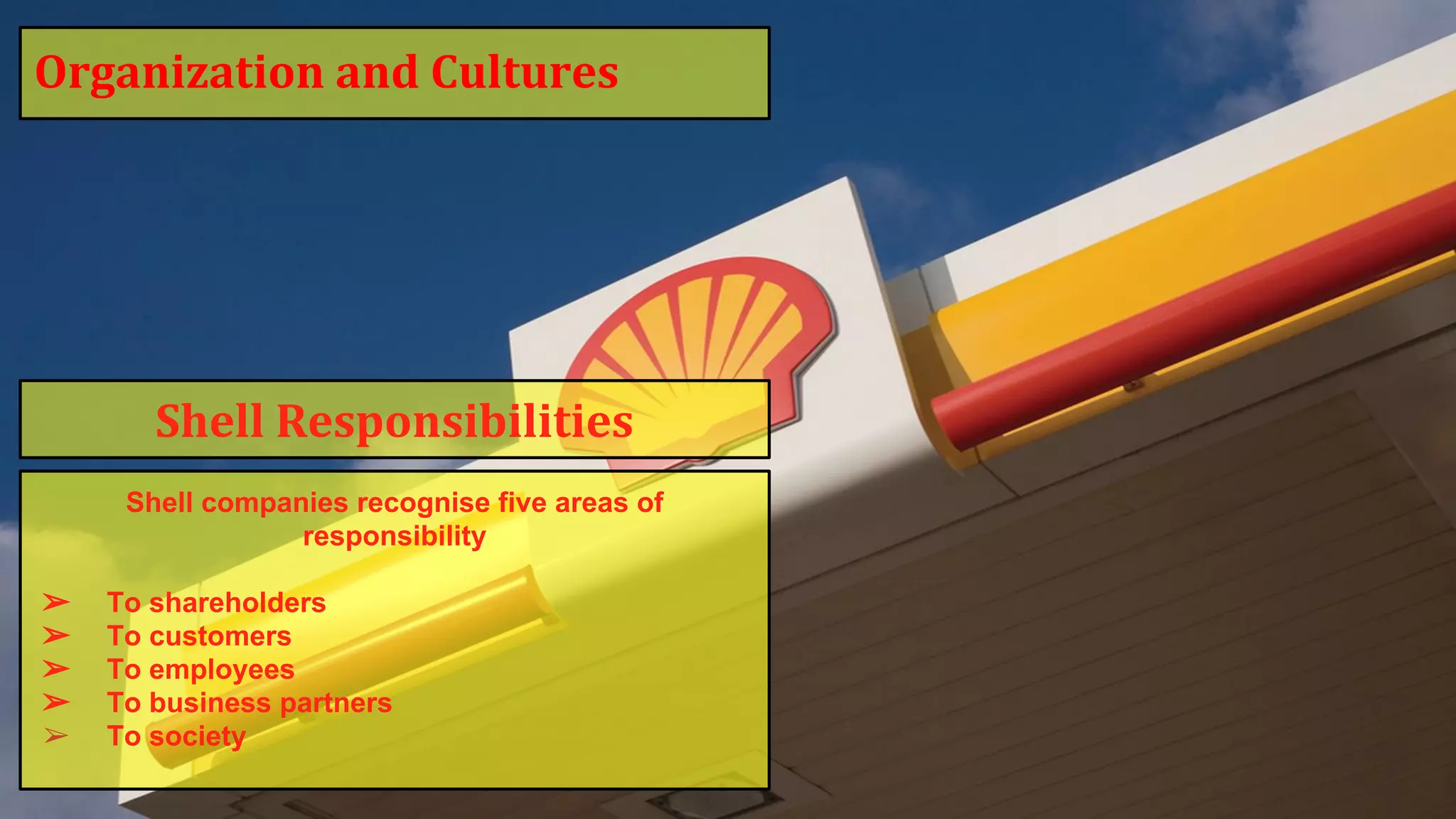 Organisation behavior of shell | PDF