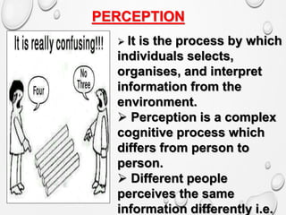 Perceptual Errors (Organization Behavior) | PPT