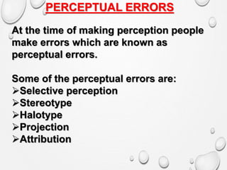 Perceptual Errors (Organization Behavior) | PPT
