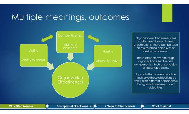 Organisation effectiveness primer and framework for practice | PPT