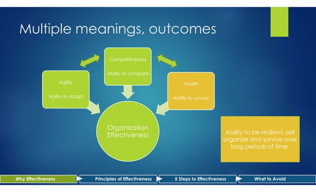 Organisation effectiveness primer and framework for practice | PPT