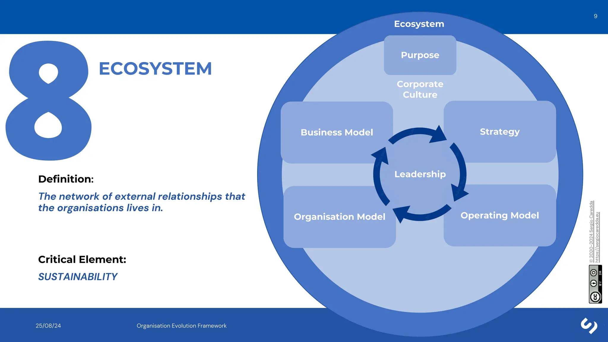Organisation Evolution Framework (Version 3) | PDF