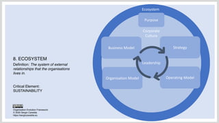 Organisation Evolution Model (Version 1) | PPT