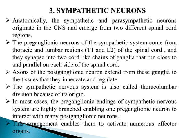 Organisation of ans | PPTX