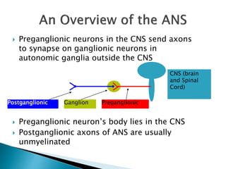 Organisation of ans | PPTX