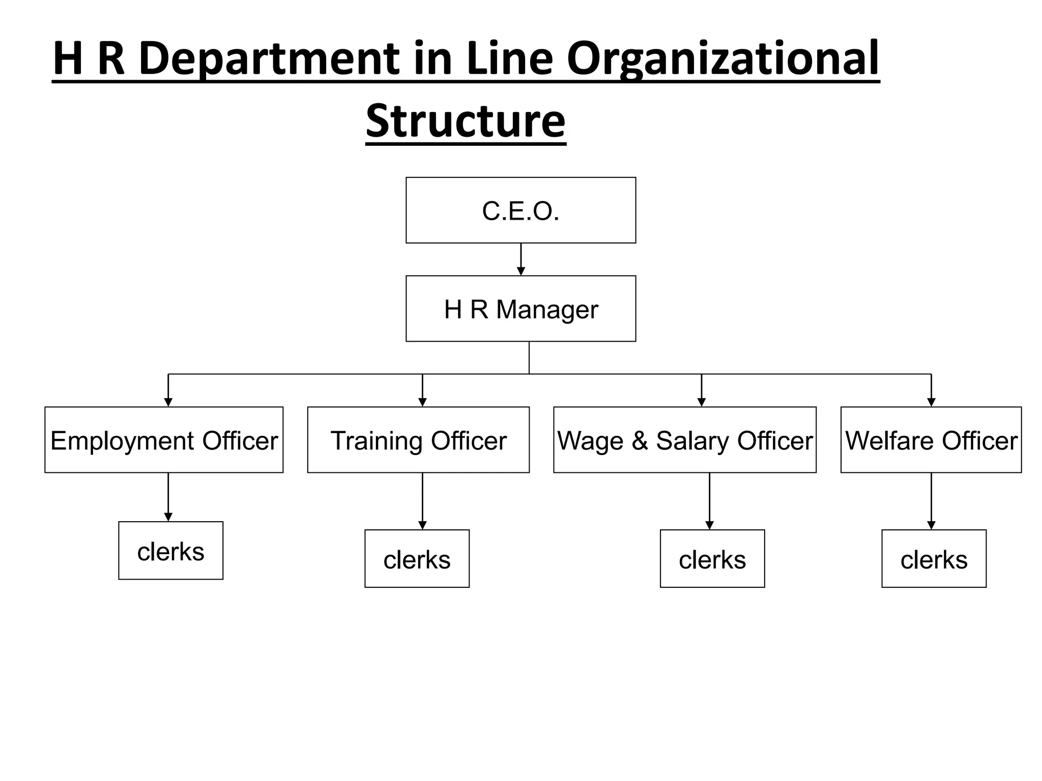 ORGANISATION OF HR DEPARTMENT.pptx