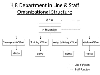 ORGANISATION OF HR DEPARTMENT.pptx