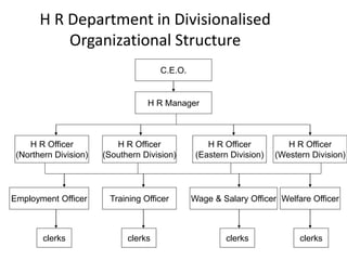 ORGANISATION OF HR DEPARTMENT.pptx