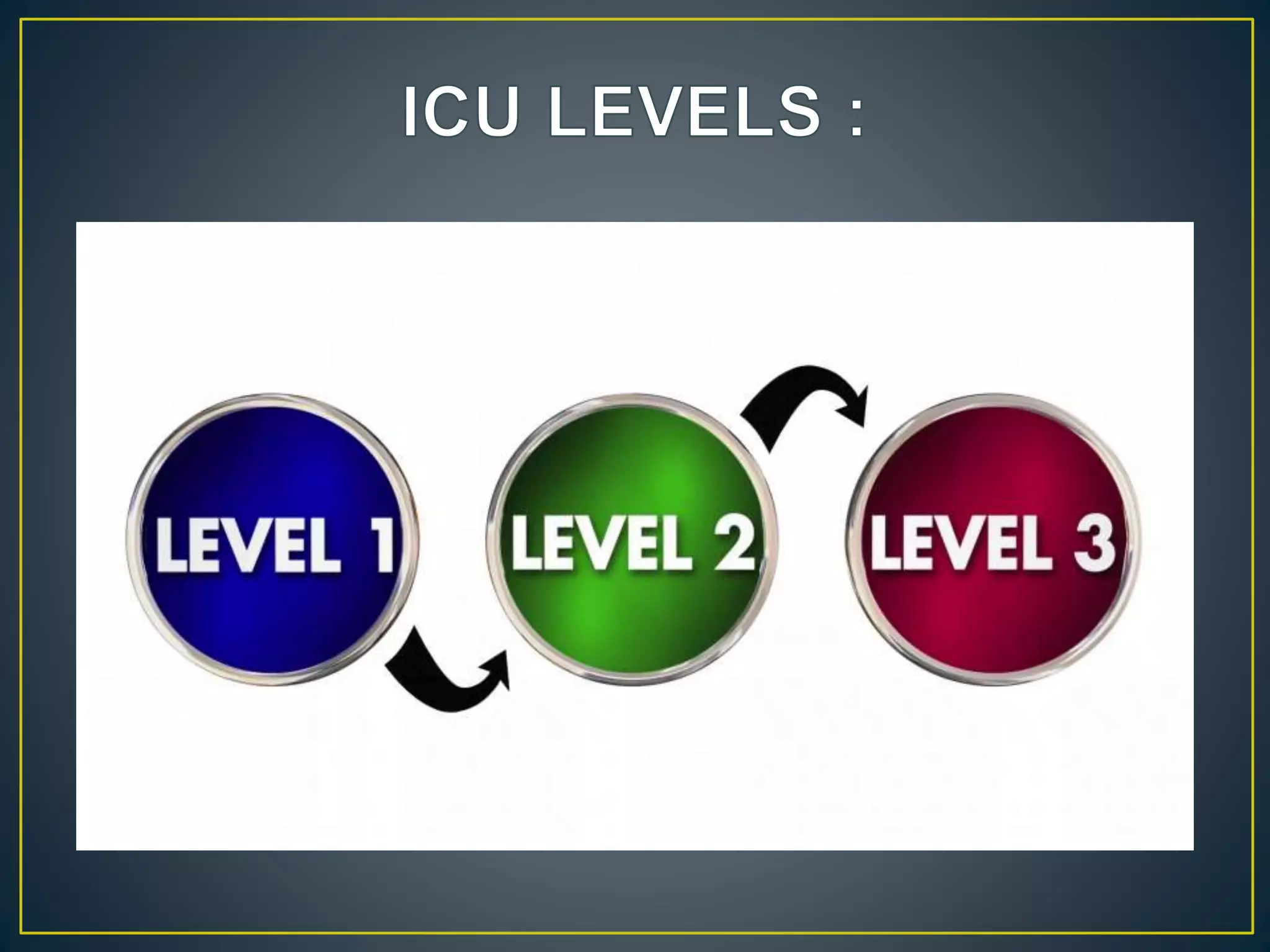 Organisation of icu | PPTX