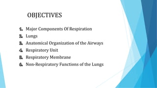 Organisation of Respiratory System(114)-1.pdf