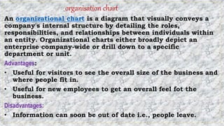 OVER VIEW OF ORGANISATION AND ITS STRUCTURES | PPTX
