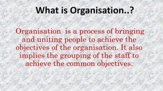 OVER VIEW OF ORGANISATION AND ITS STRUCTURES | PPT | Free Download