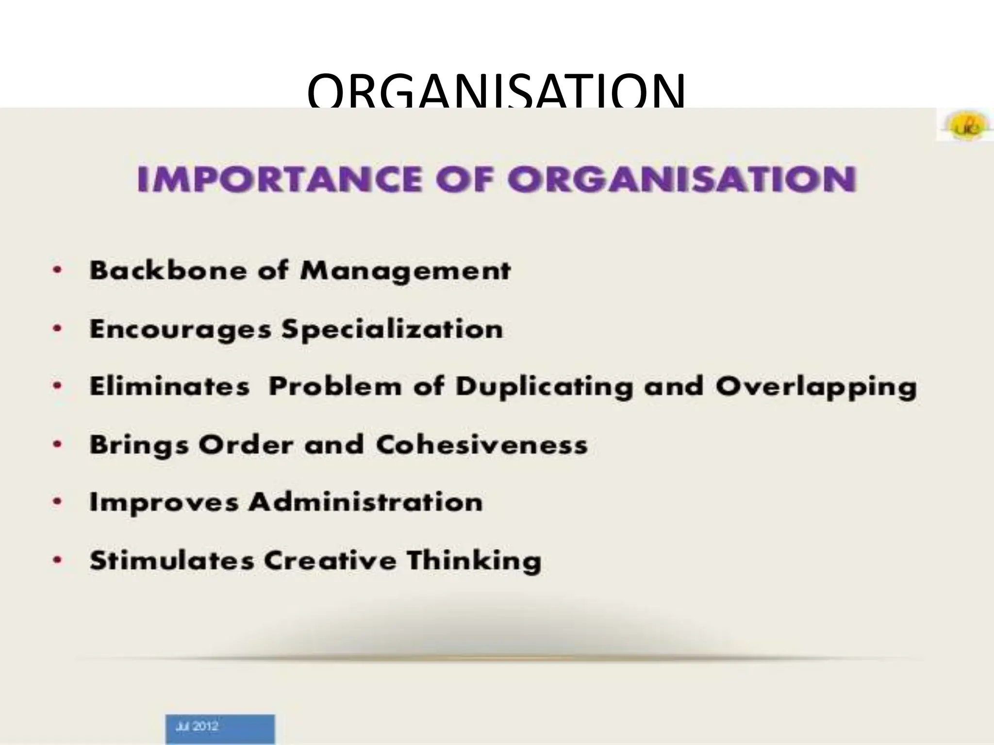 ORGANISATION, principles, struture and its importance | PPT