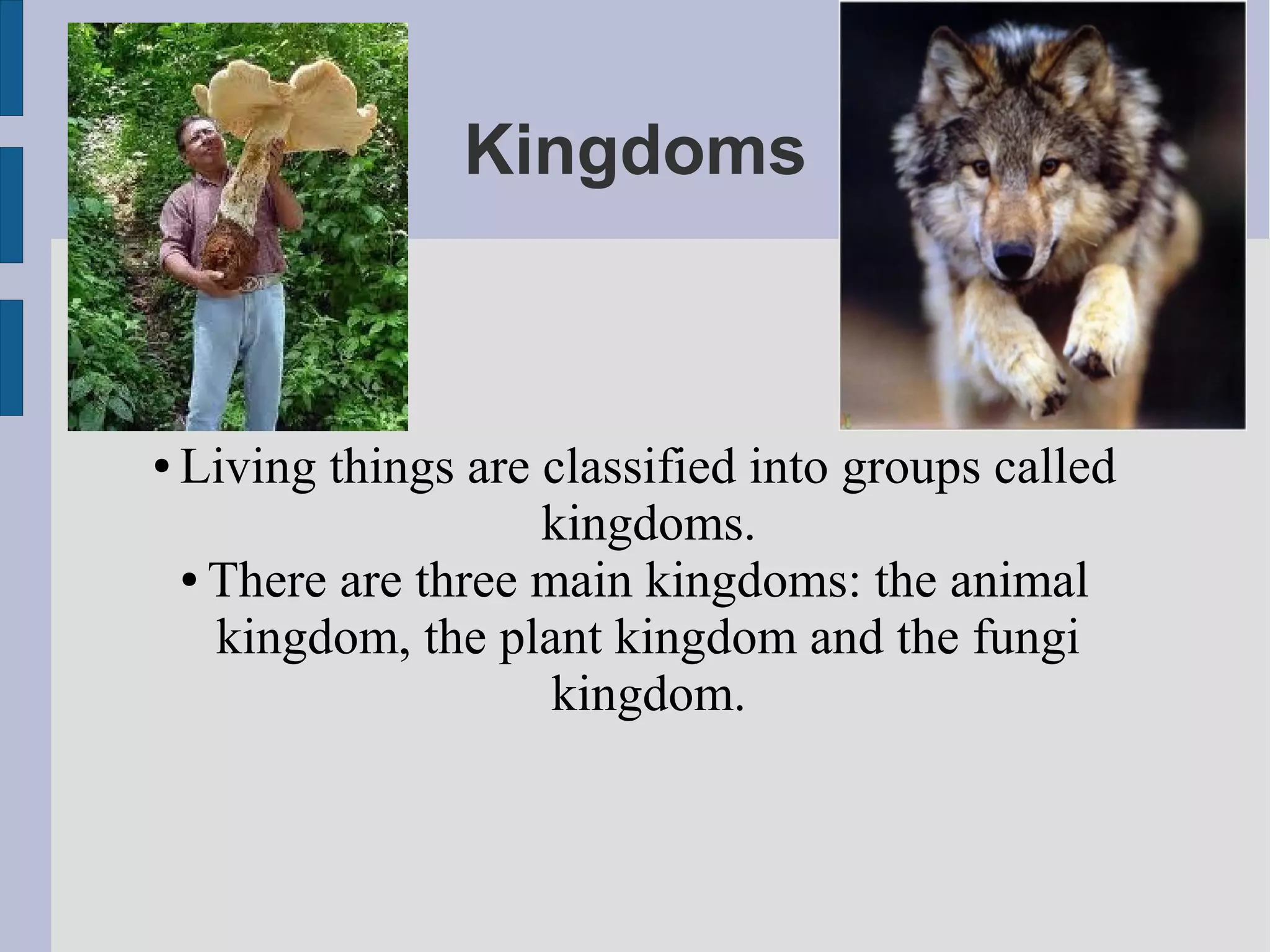 The organisation of living things and kingdoms | ODP