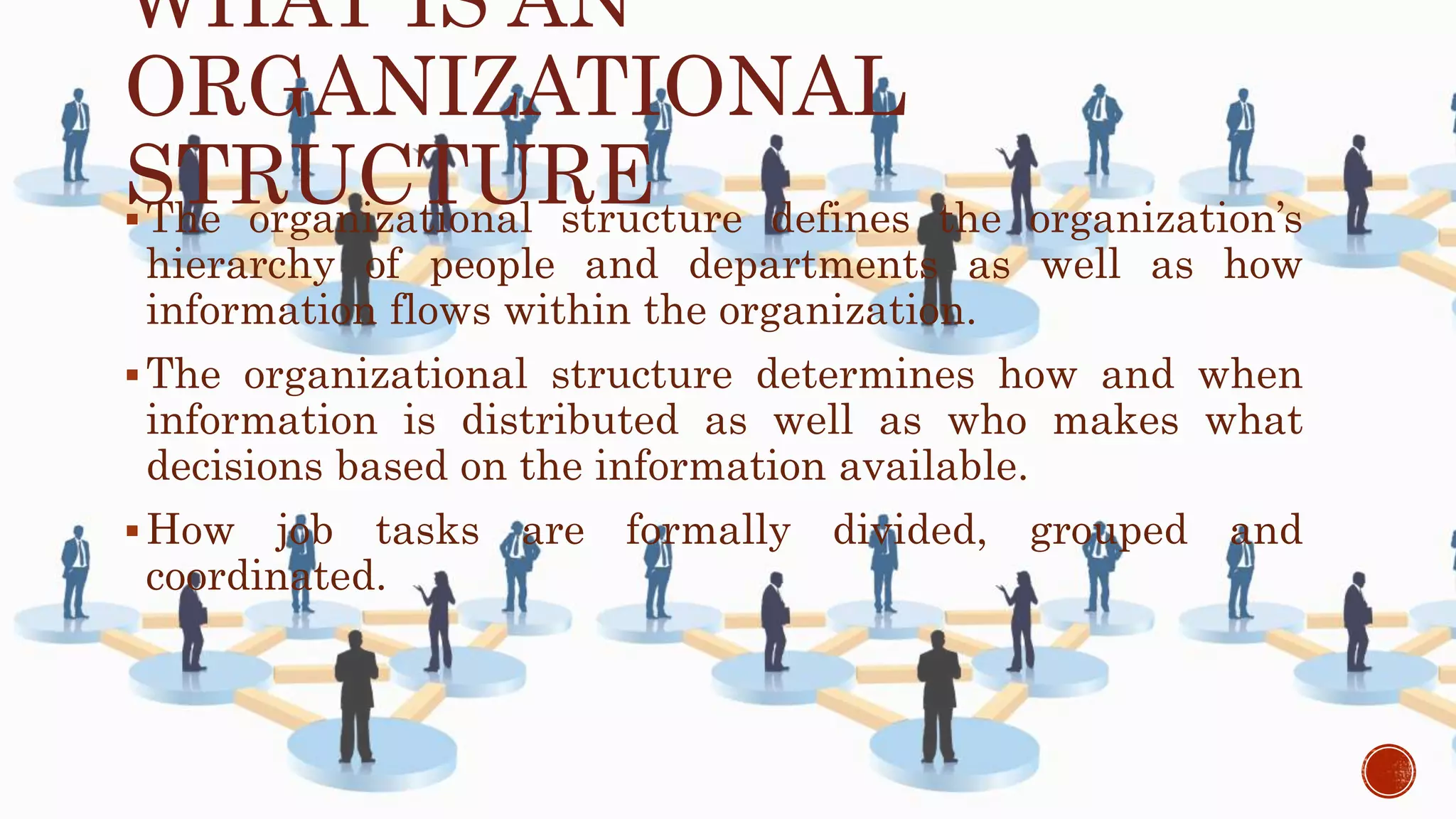 Organisation structure | PPTX