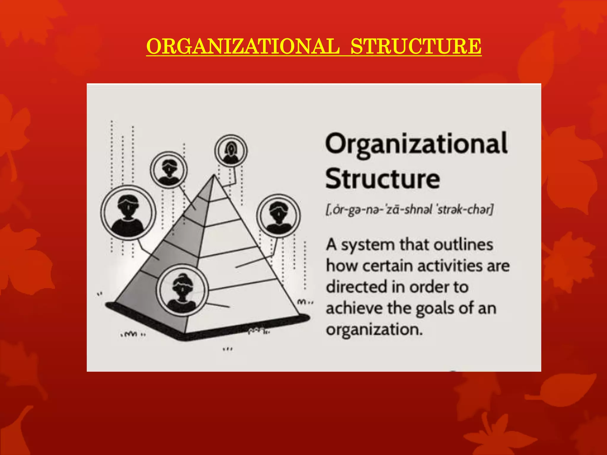 Organisation Structures.pptx