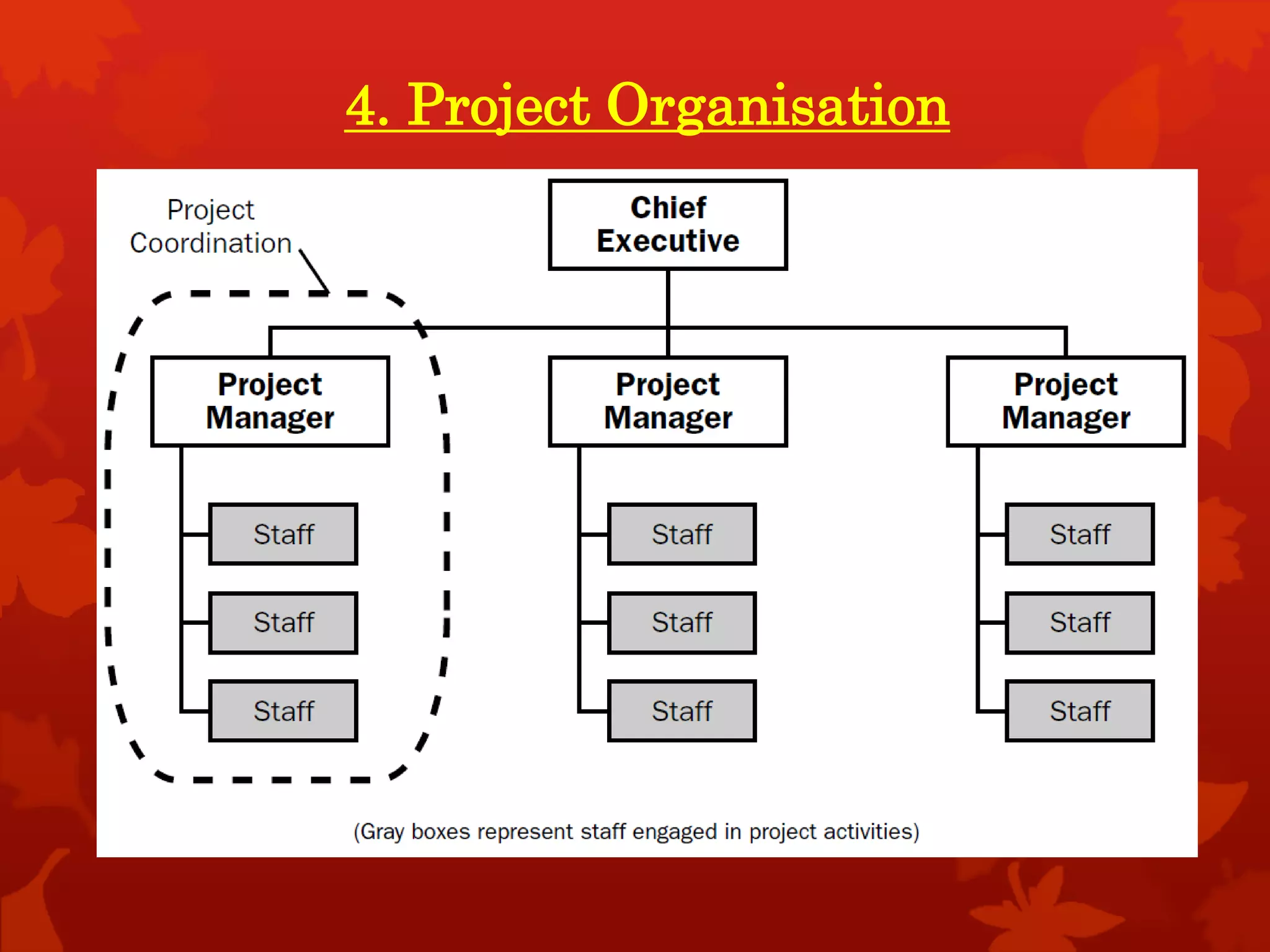 Organisation Structures.pptx