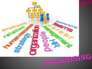 Organising | PPT
