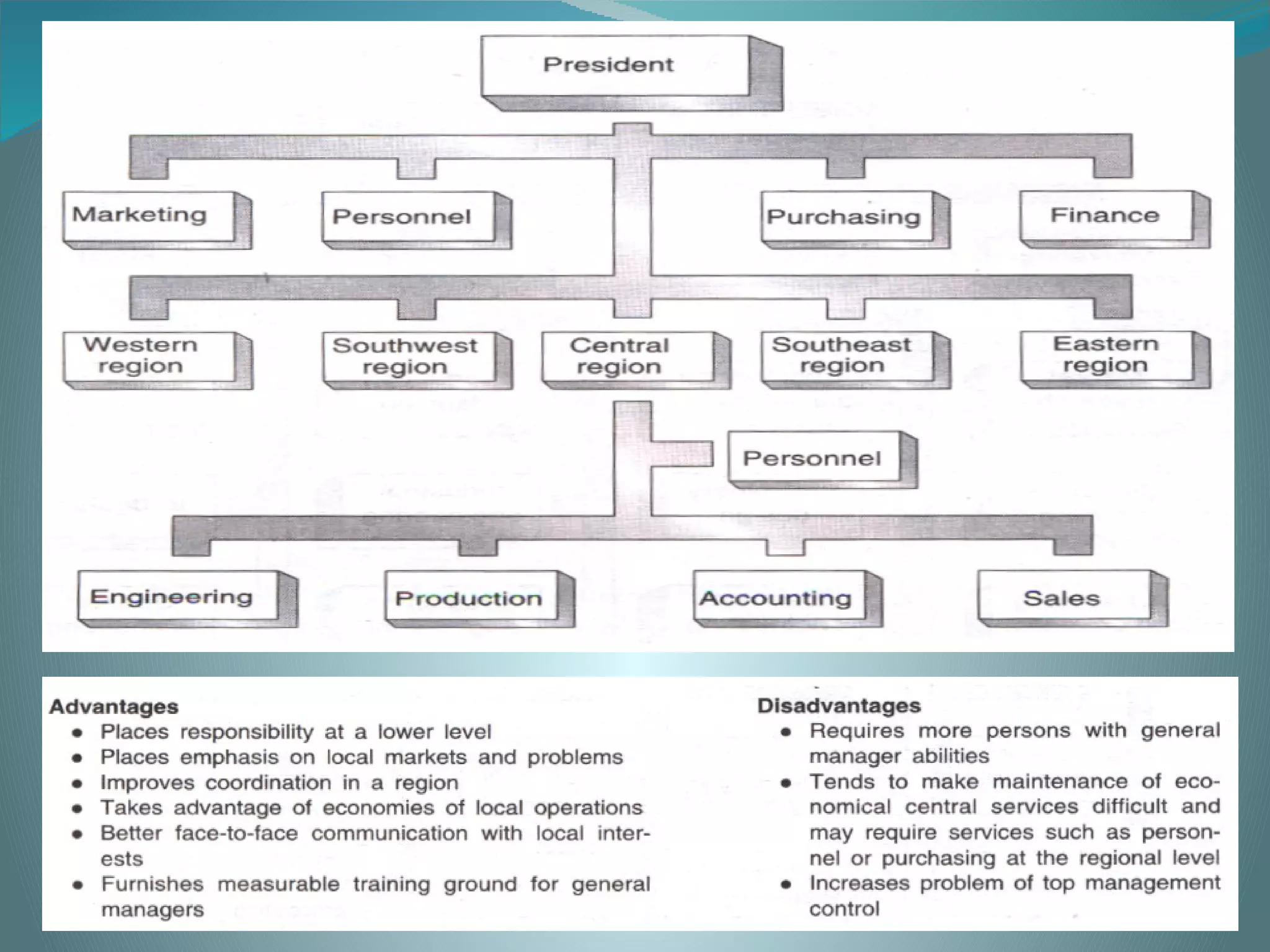 Management Organizing | PPT | Executive Leadership & Management | Business