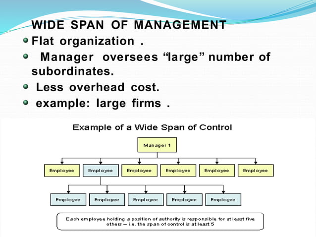 Principles Of Management-Organising | PPT