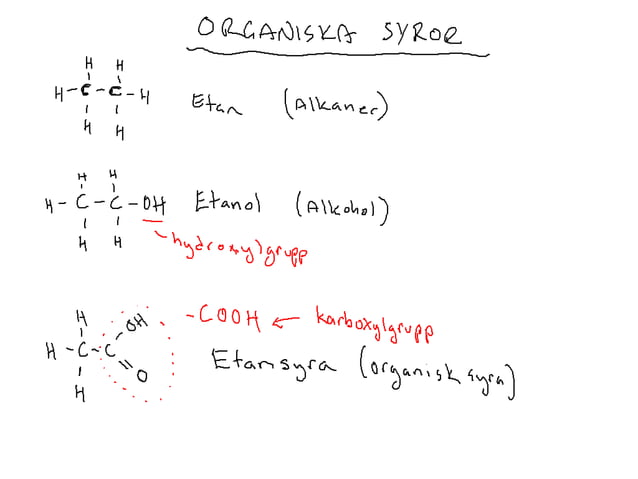 Organiska syror | PPT
