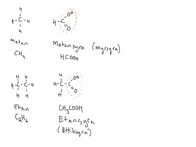 Organiska syror | PPT