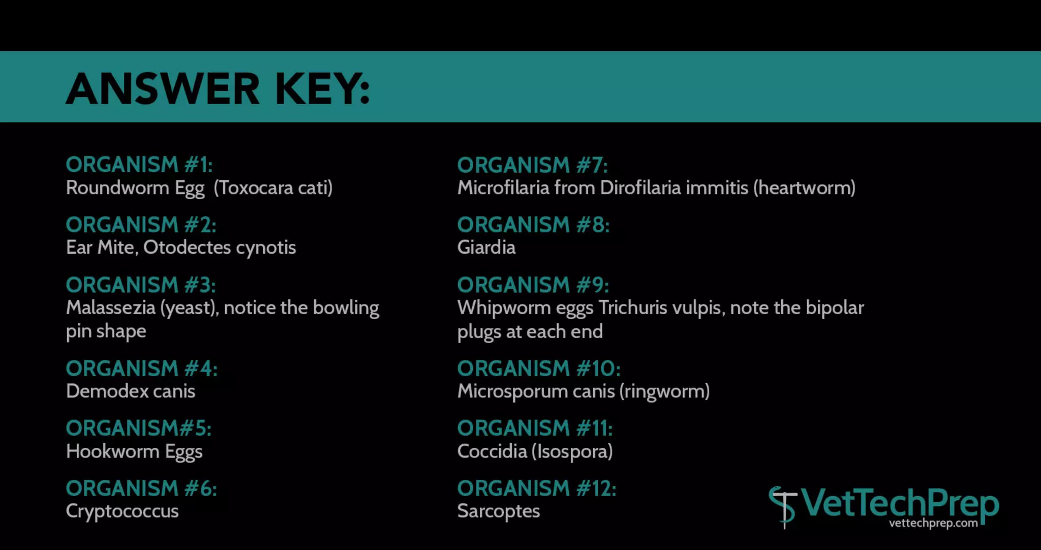Vet Tech Challenge: Name that Organinism | PDF