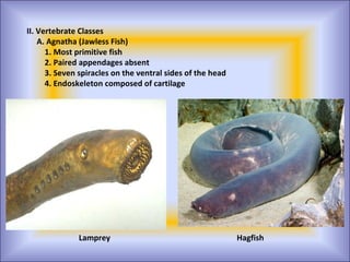 vert | PPT | Fish and Aquariums | Pets