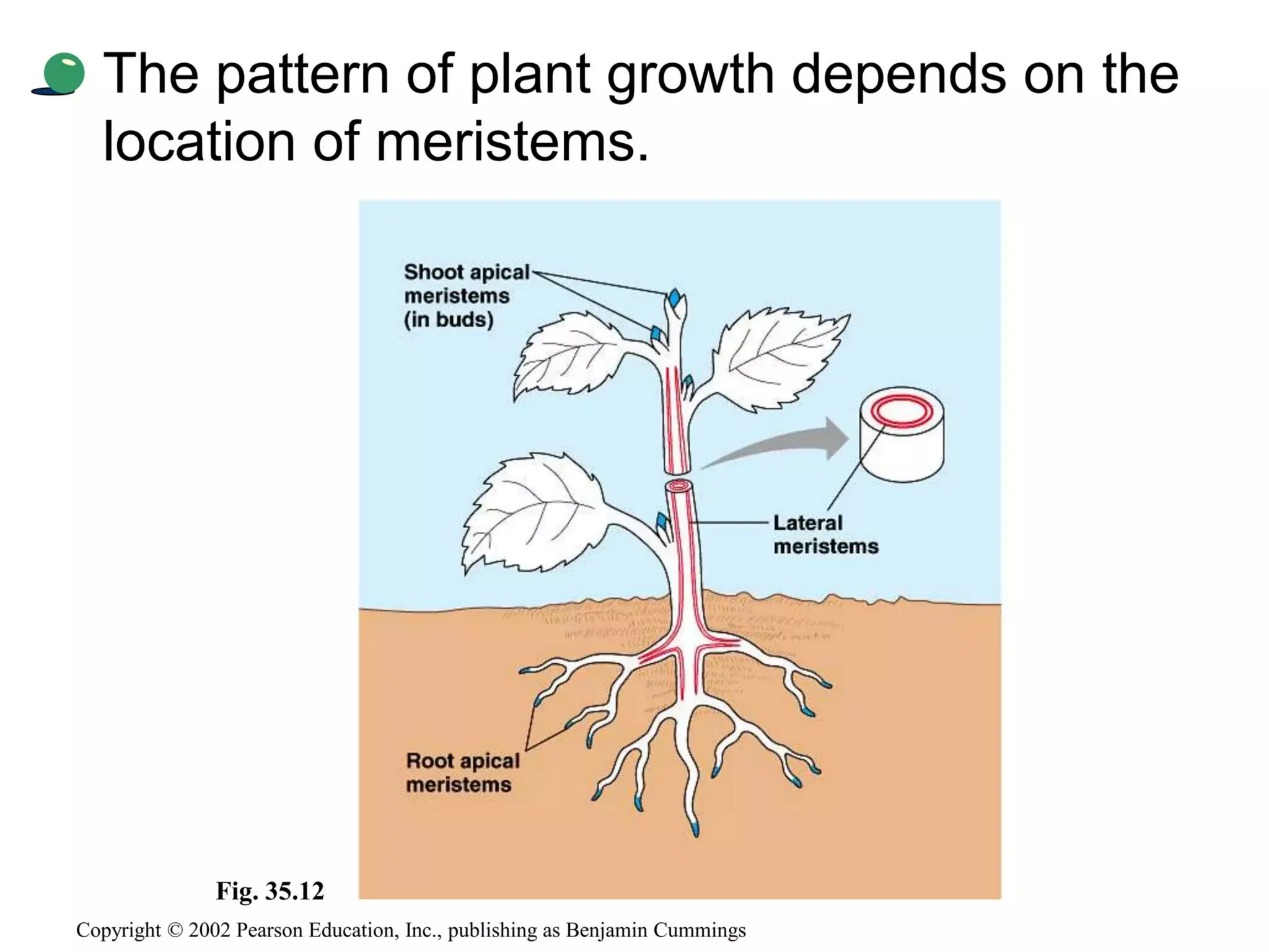 organismal biology-INTRODUCTION TO REPRODUCTION | PPTX