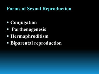 Organismal Reproduction and Development | PPTX