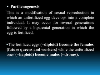 Organismal Reproduction and Development | PPTX