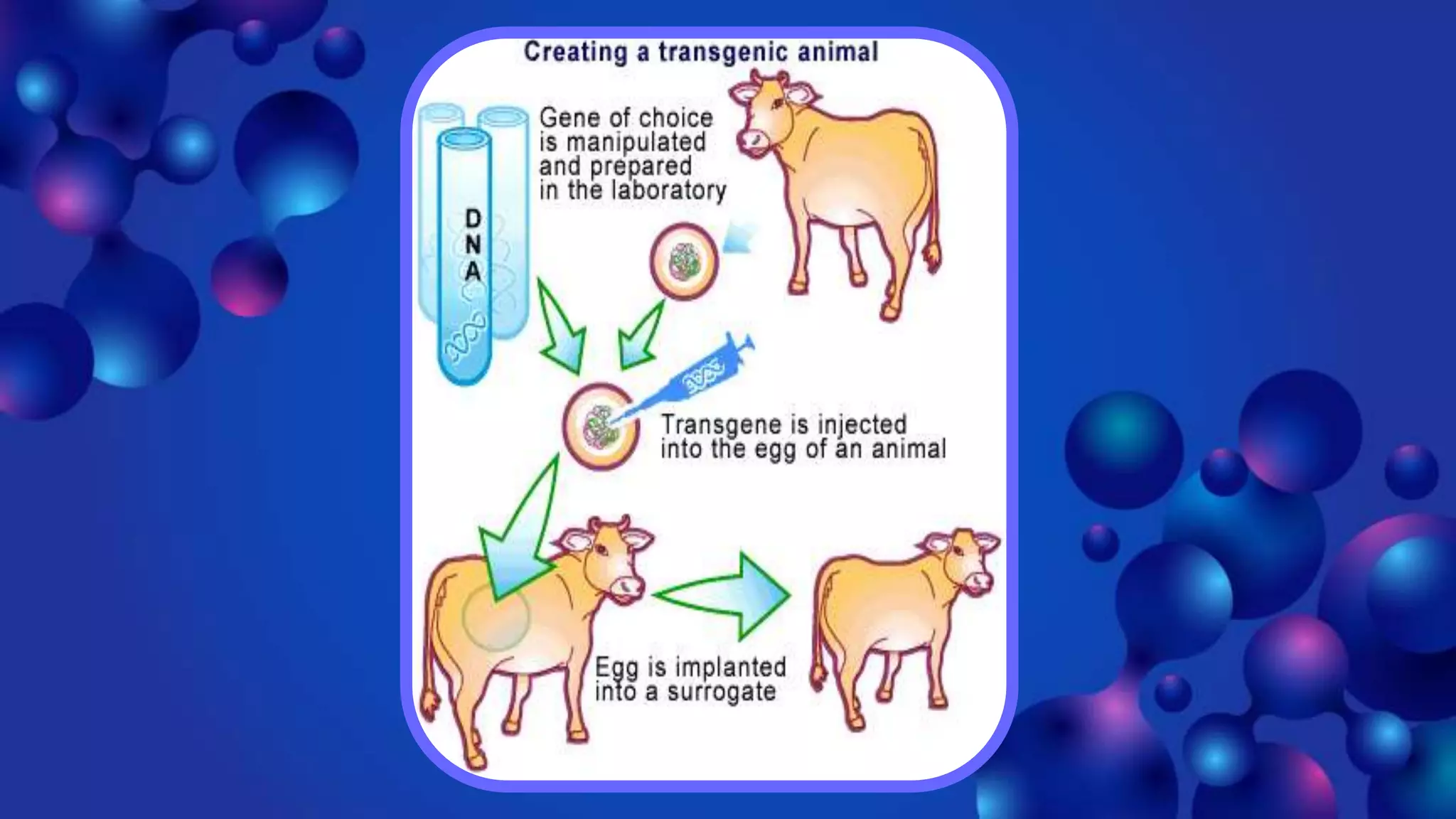 Organisme modificate genetic | PPTX