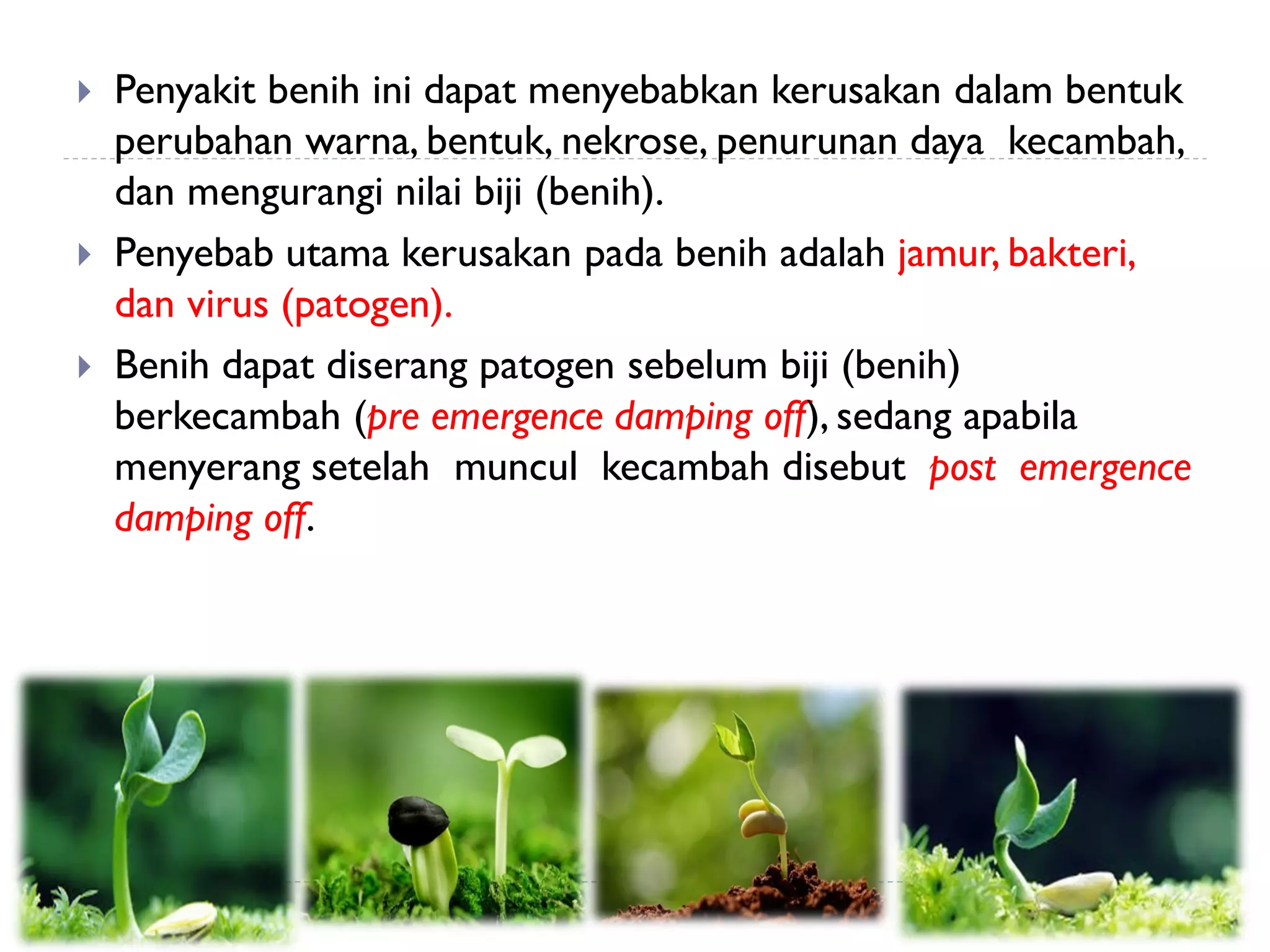 Organisme Pengganggu Tanaman (OPT) pada BENIH.pdf