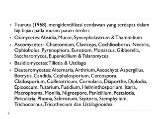 Organisme Pengganggu Tanaman (OPT) pada BENIH.pdf