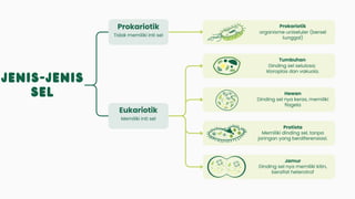 Organisme Prokariotik Biologi SMA Kelas X | PDF