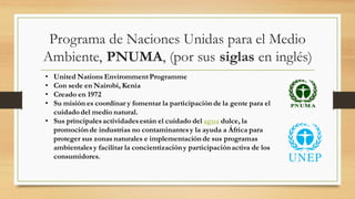 organismos que regulan la sustentabilidad.pdf