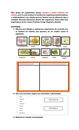 Organismos unicelulares y pluricelulares guia 3 | DOCX