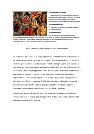 Organismos y medio ambiente | DOCX