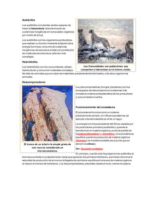 Organismos y medio ambiente | DOCX